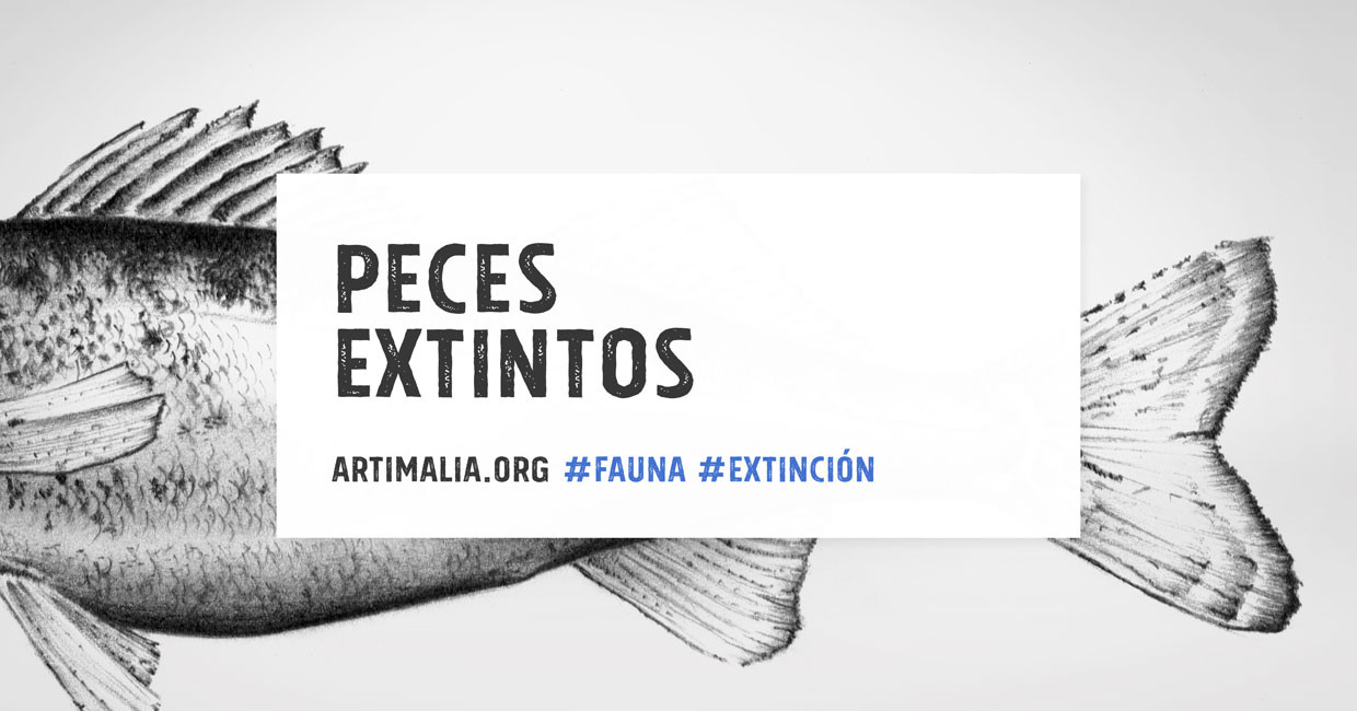 Peces extintos | Artimalia