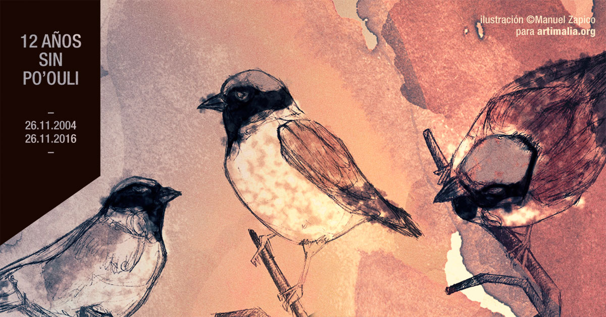 El día del... po'ouli | Artimalia